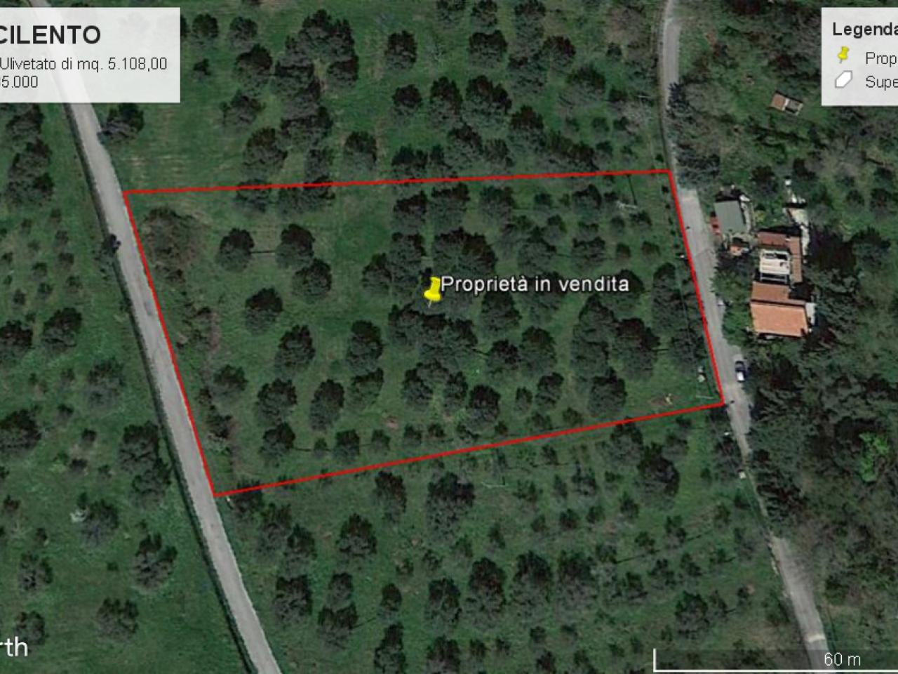 Terreno agricolo in vendita a Stella Cilento