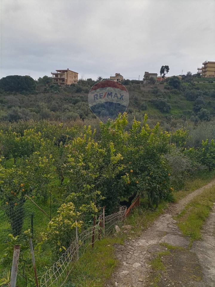 Terreno agricolo in vendita a Santa Flavia