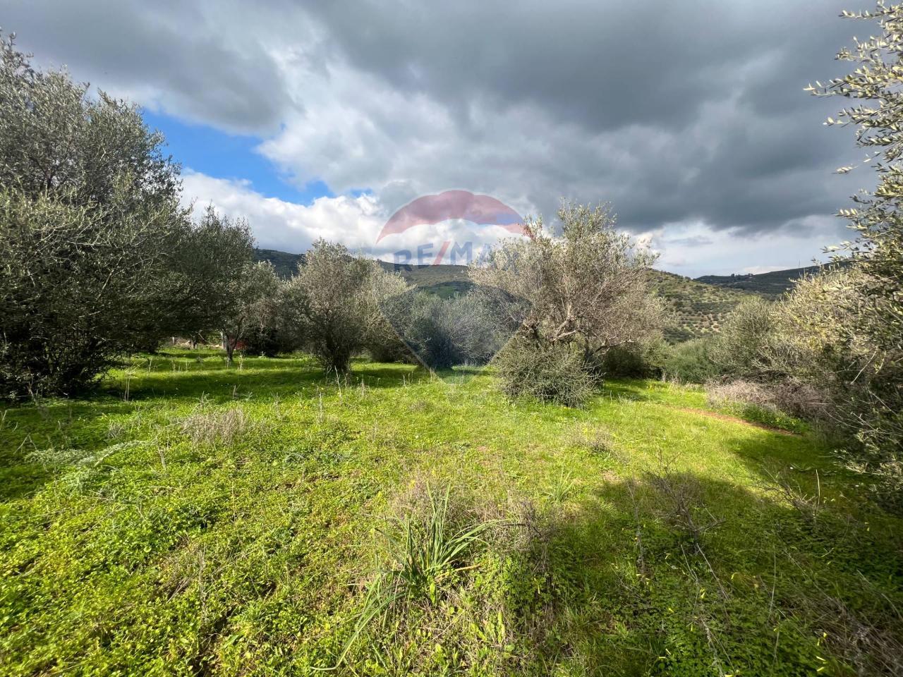 Terreno agricolo in vendita a Bolognetta