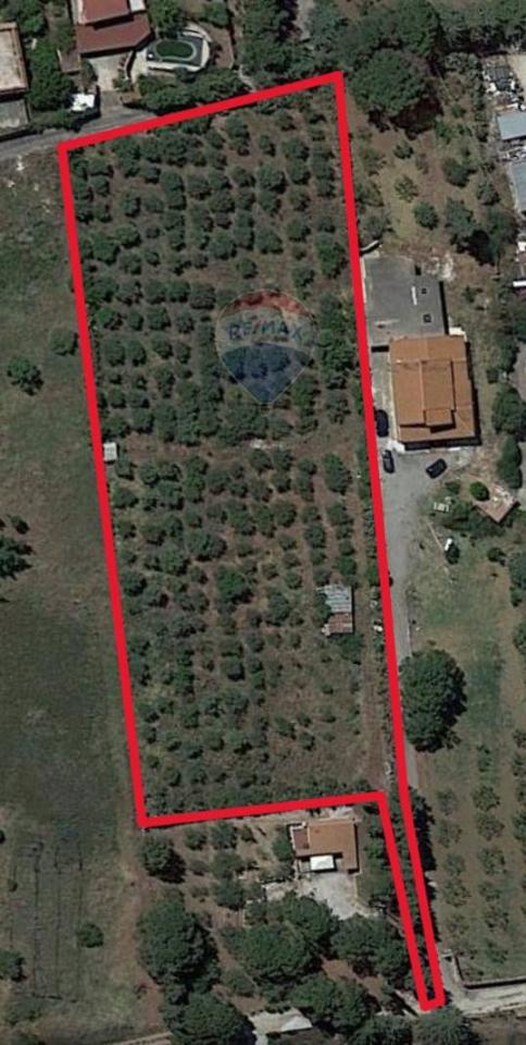 Terreno agricolo in vendita a Bolognetta