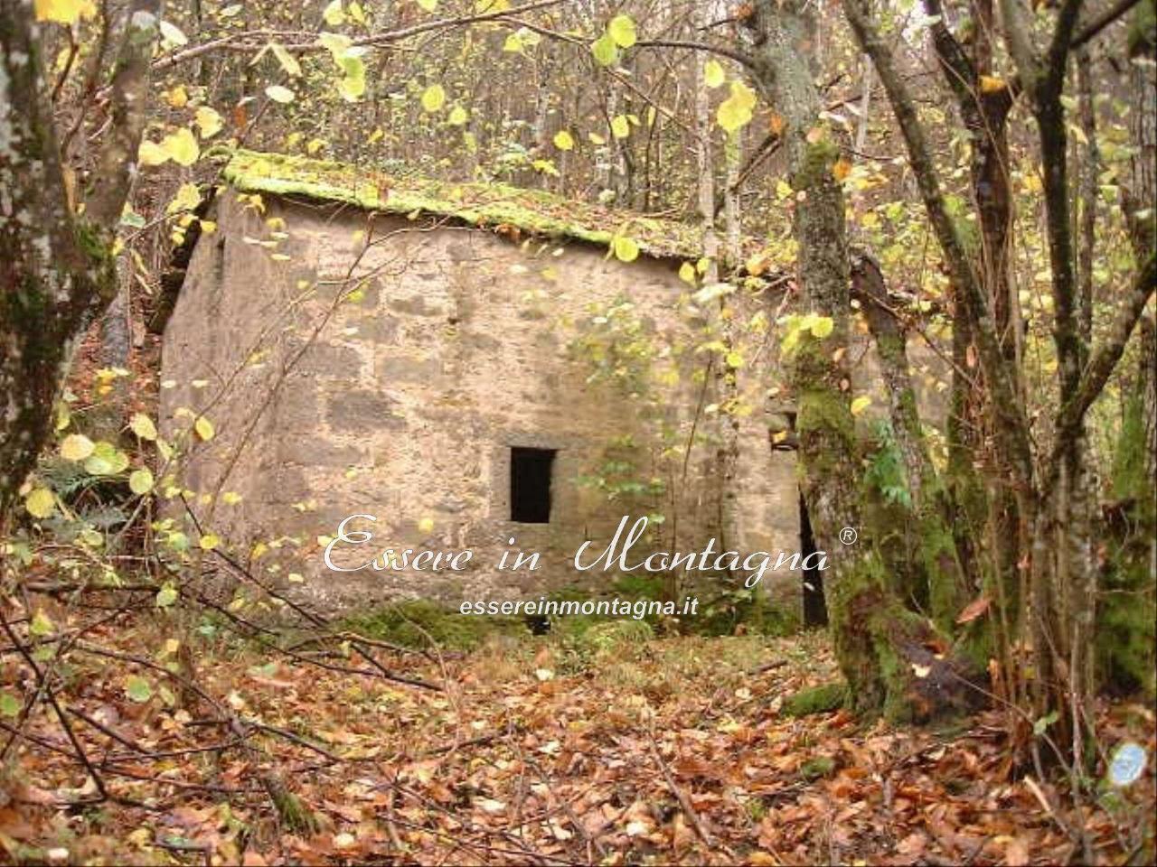 Terreno edificabile misto in vendita a Fanano