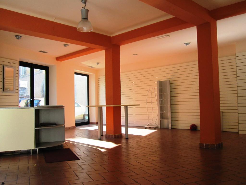 Negozio in affitto a Pisa