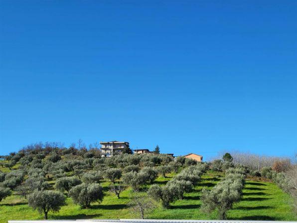 Terreno edificabile residenziale in vendita a Montalto Uffugo
