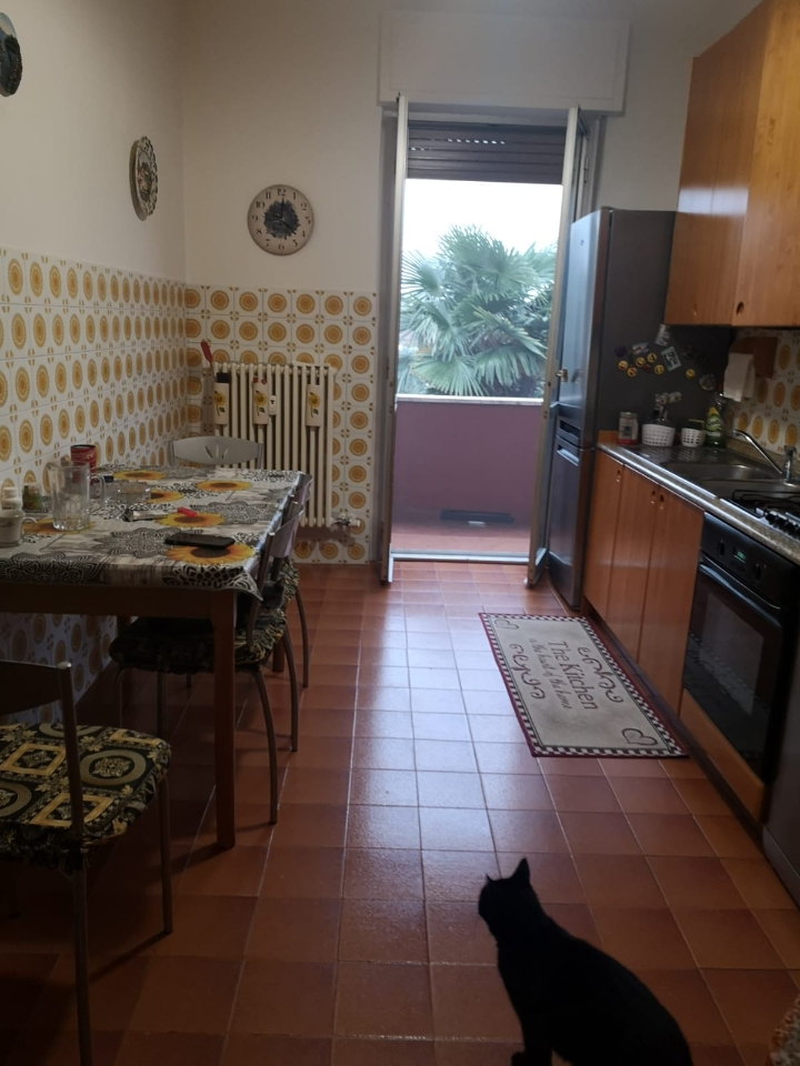 Appartamento in vendita a Vigevano