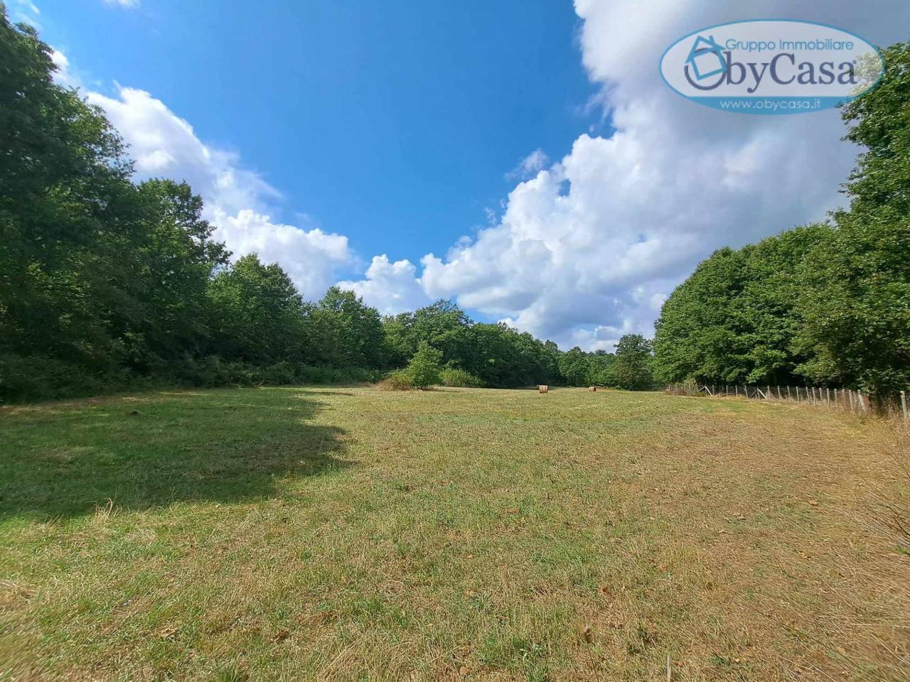 Terreno agricolo in vendita a Oriolo Romano