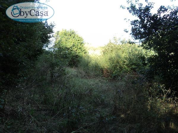 Terreno agricolo in vendita a Vejano