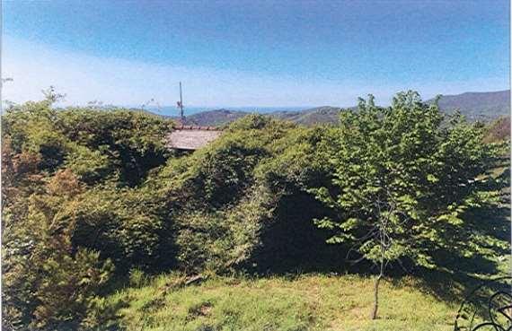 Appartamento in vendita a San Colombano Certenoli