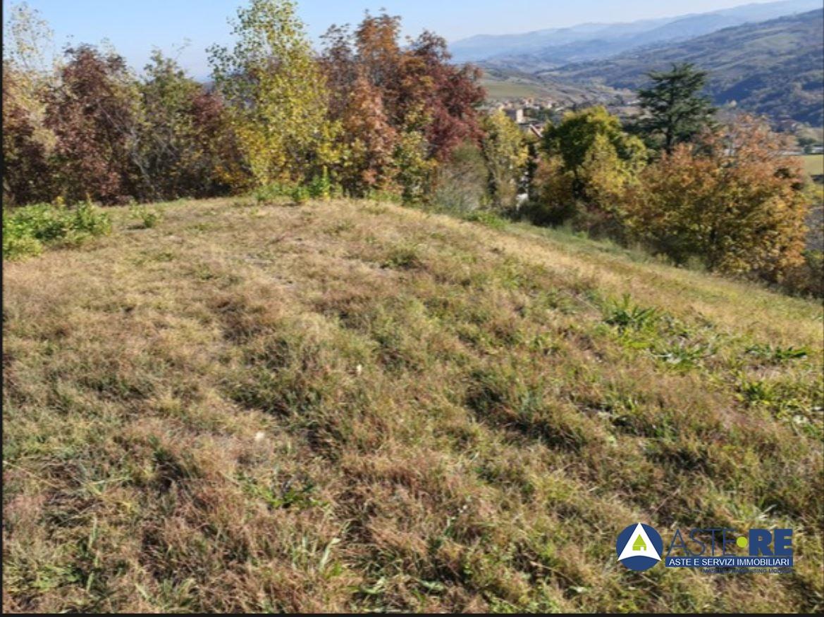 Terreno agricolo in vendita a Guiglia