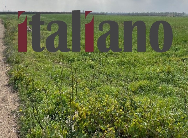 Terreno agricolo in Via Santa Marina 141, Milazzo