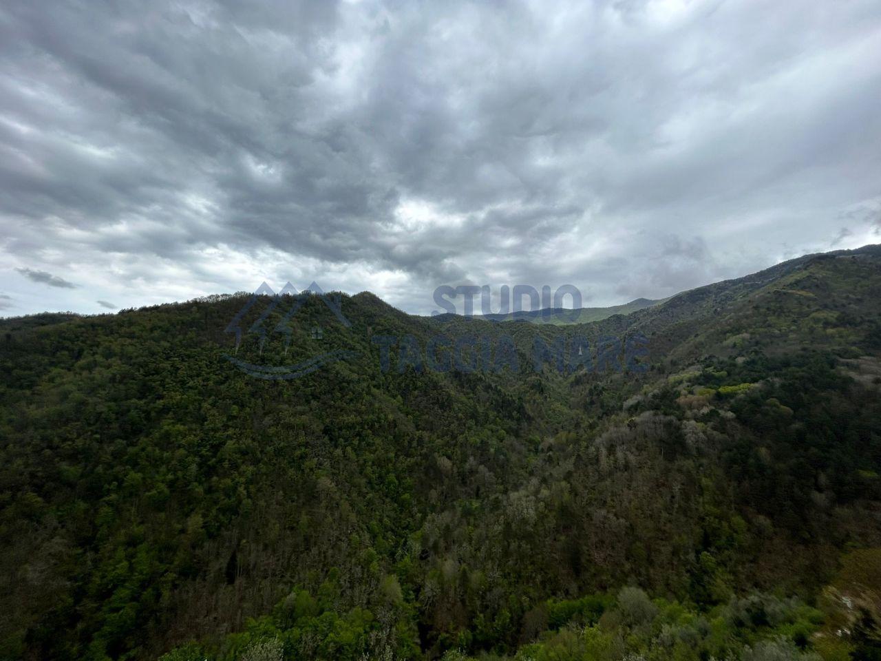 Casa indipendente in vendita a Molini Di Triora