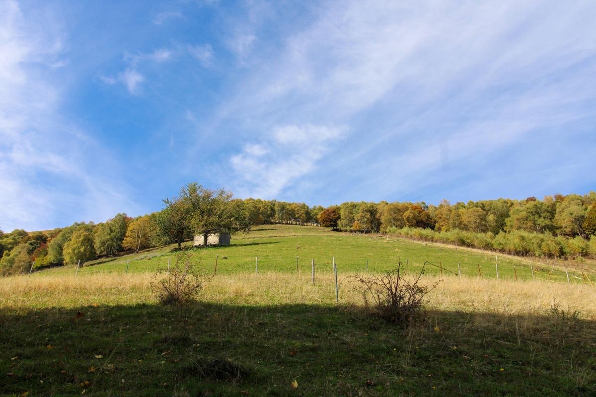 Terreno agricolo in Località Ermogna Snc, Centro Valle Intelvi