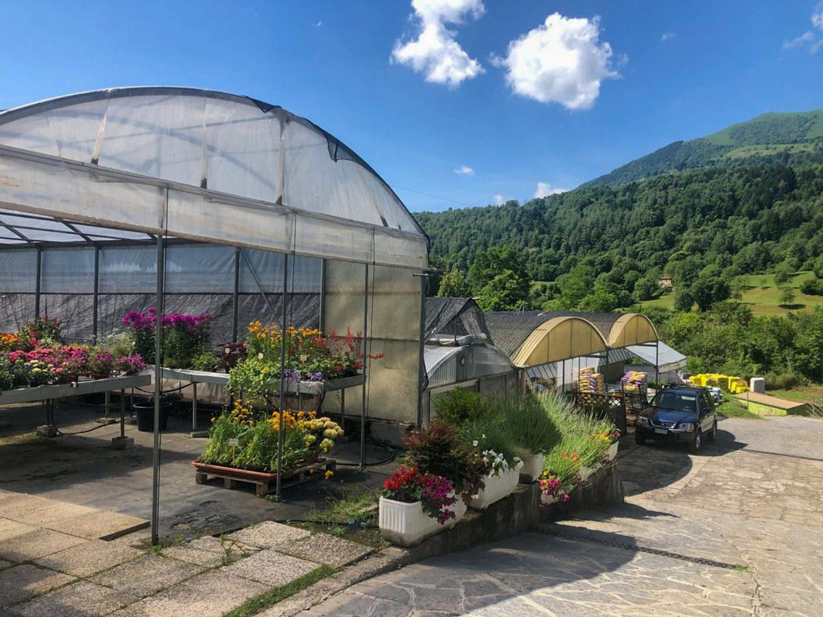 Esercizio commerciale in vendita a Centro Valle Intelvi