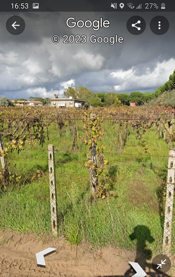 Azienda agricola in vendita a Nettuno