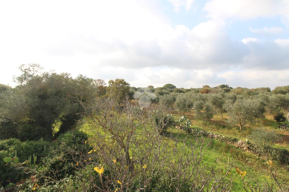 Casa indipendente in vendita a Ceglie Messapica Foto-21