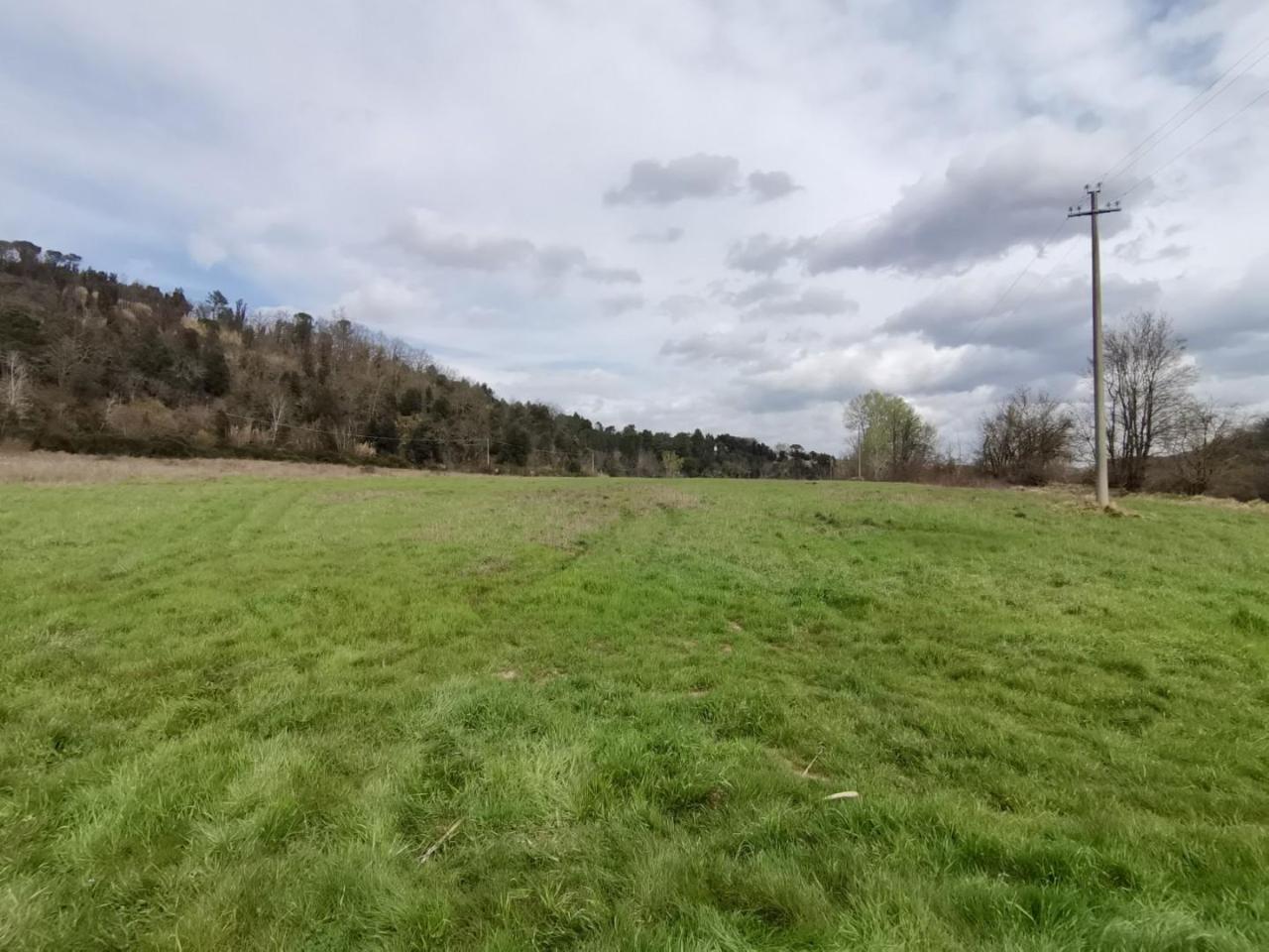 Terreno agricolo in vendita a Palaia