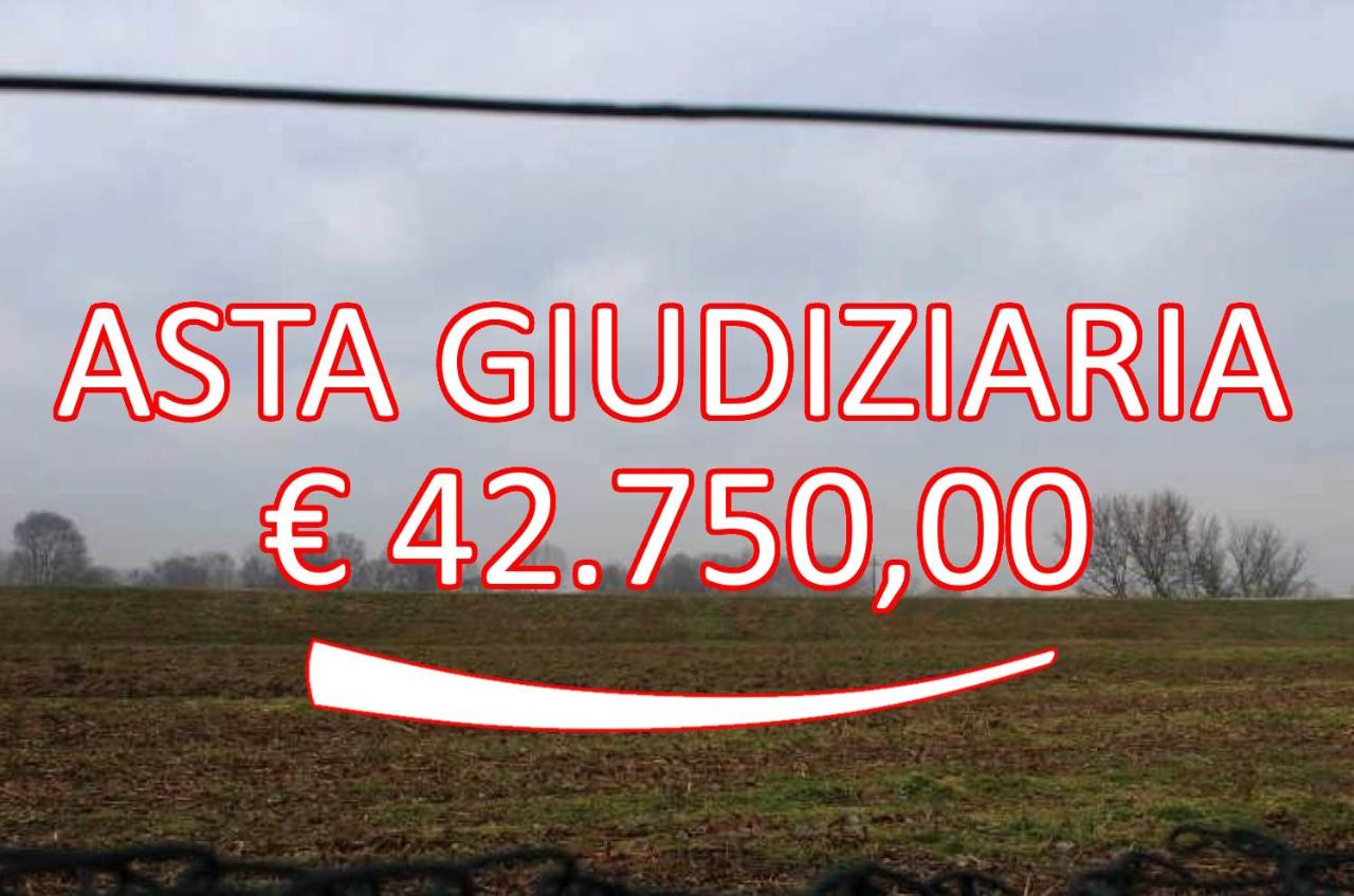 Terreno agricolo in vendita a Veggiano
