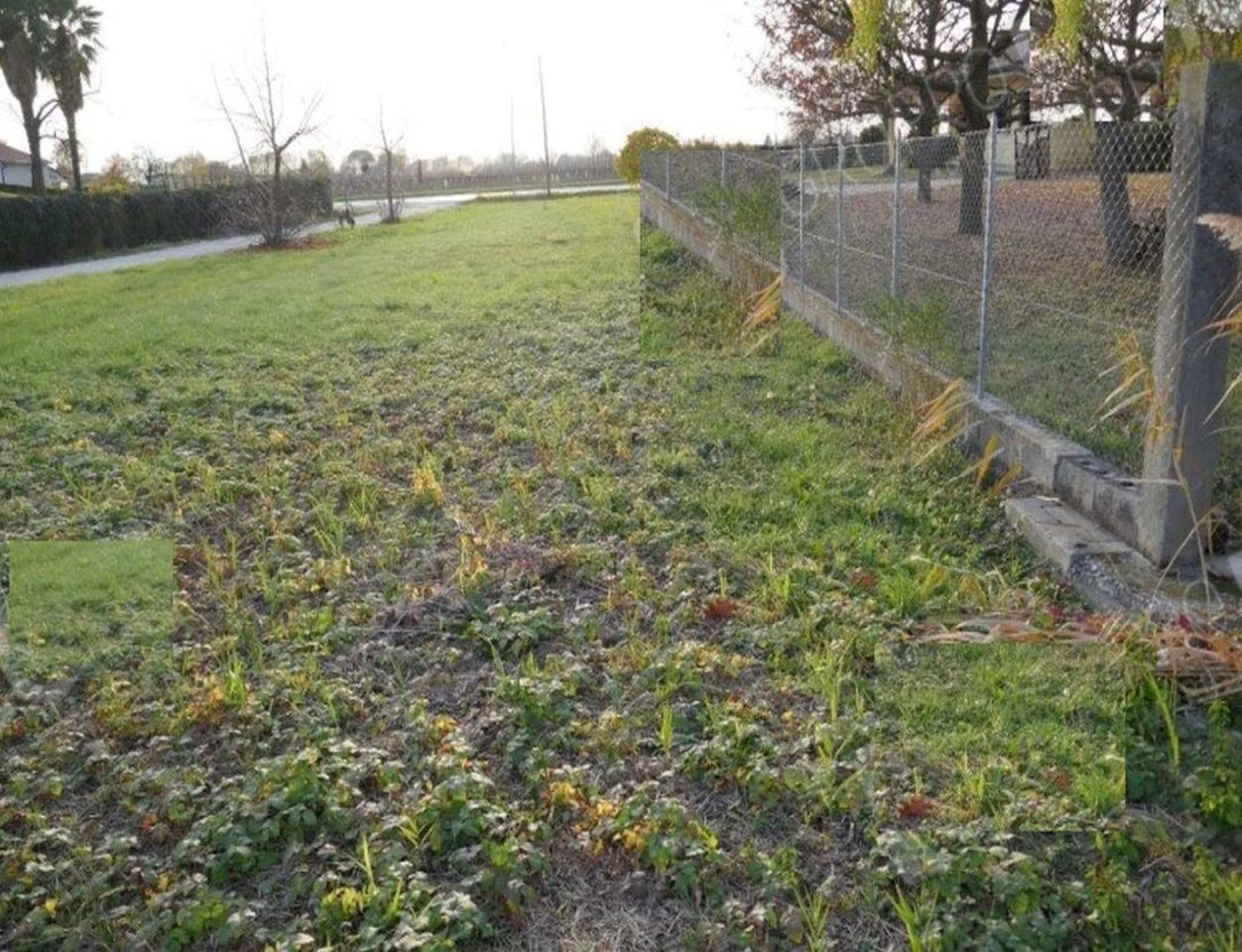 Terreno agricolo in vendita a Pramaggiore