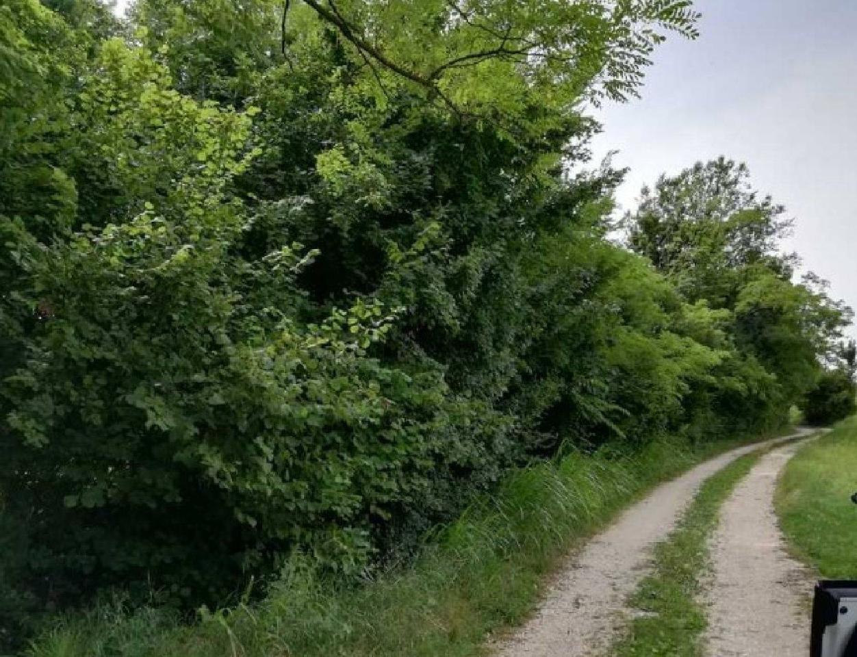 Terreno agricolo in vendita a Colle Umberto