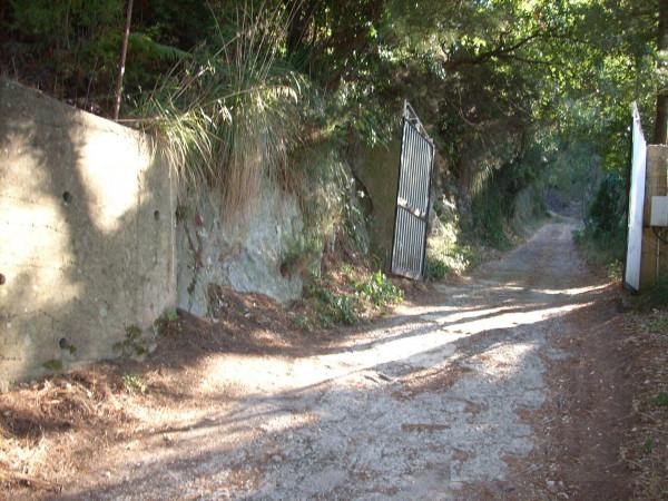 Terreno agricolo in vendita a Messina