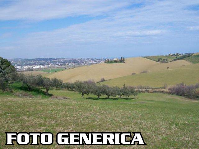 Terreno agricolo in vendita a Cascina