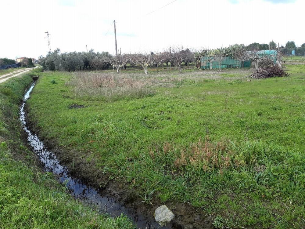 Terreno agricolo in vendita a Cascina