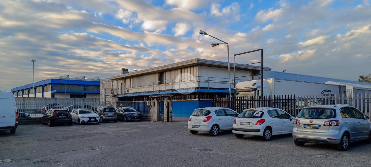 Capannone in affitto a San Zeno Naviglio