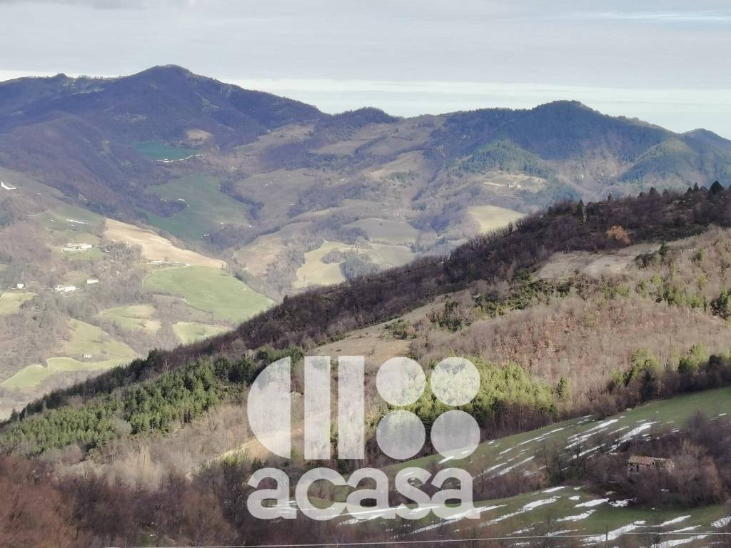 Terreno agricolo in vendita a Bagno Di Romagna
