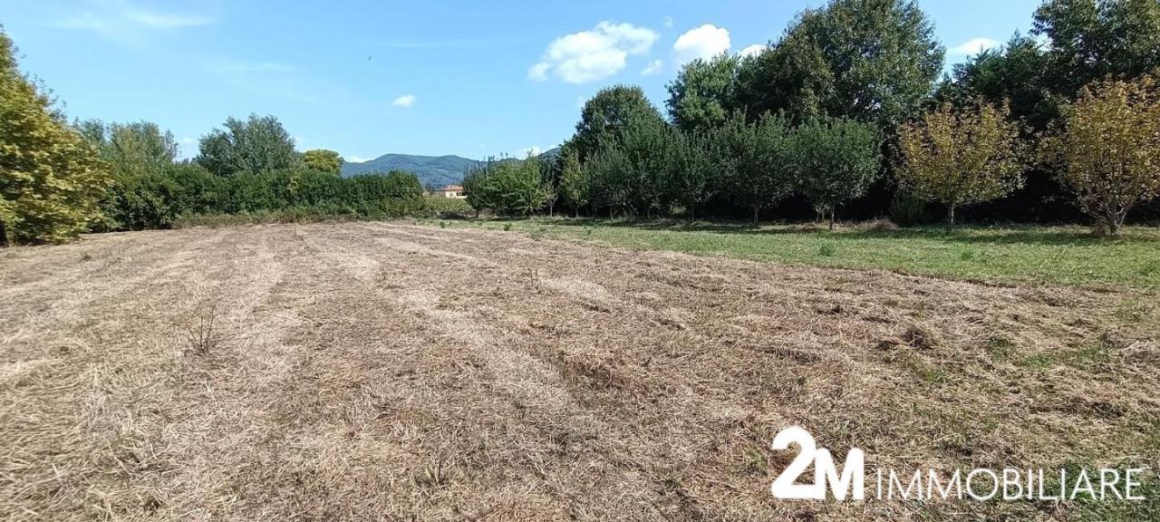 Terreno agricolo in vendita a San Giuliano Terme
