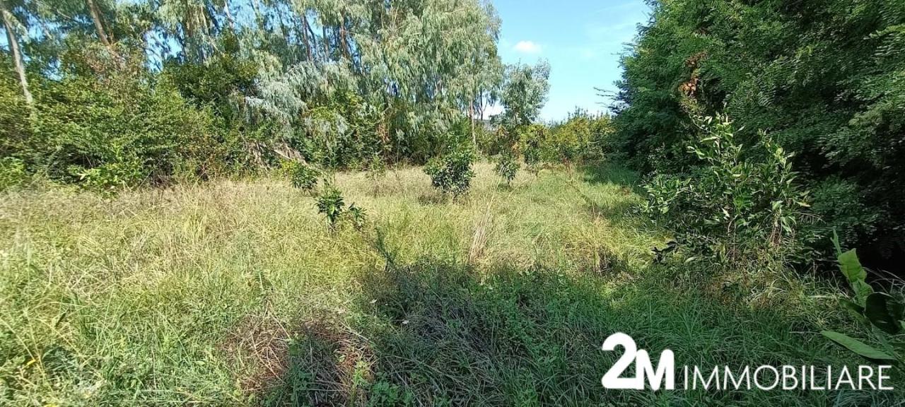 Terreno agricolo in vendita a San Giuliano Terme