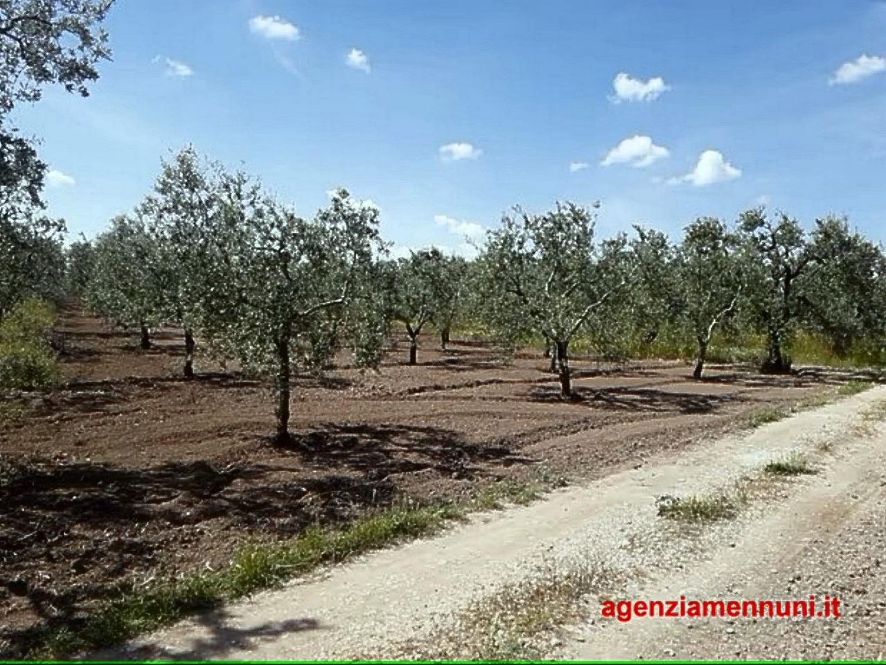 Terreno agricolo in vendita a Cerignola