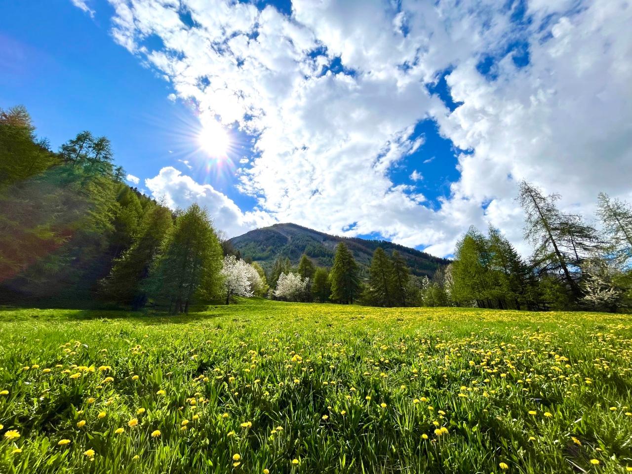 Appartamento in vendita a Argentera