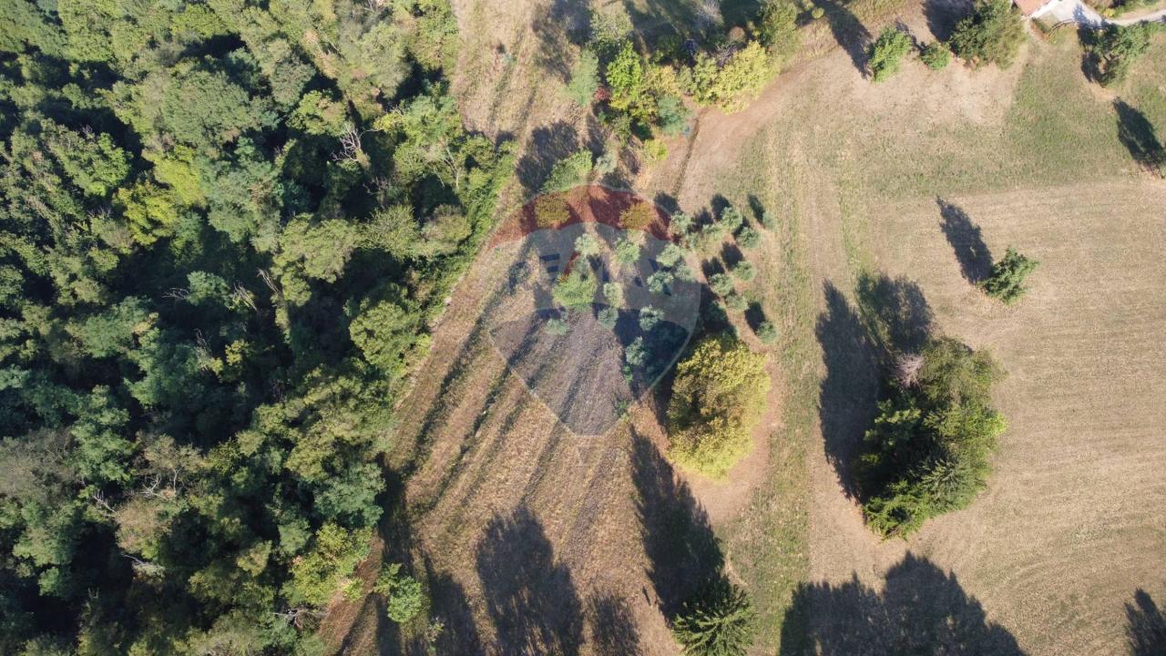 Terreno agricolo in vendita a Foresto Sparso