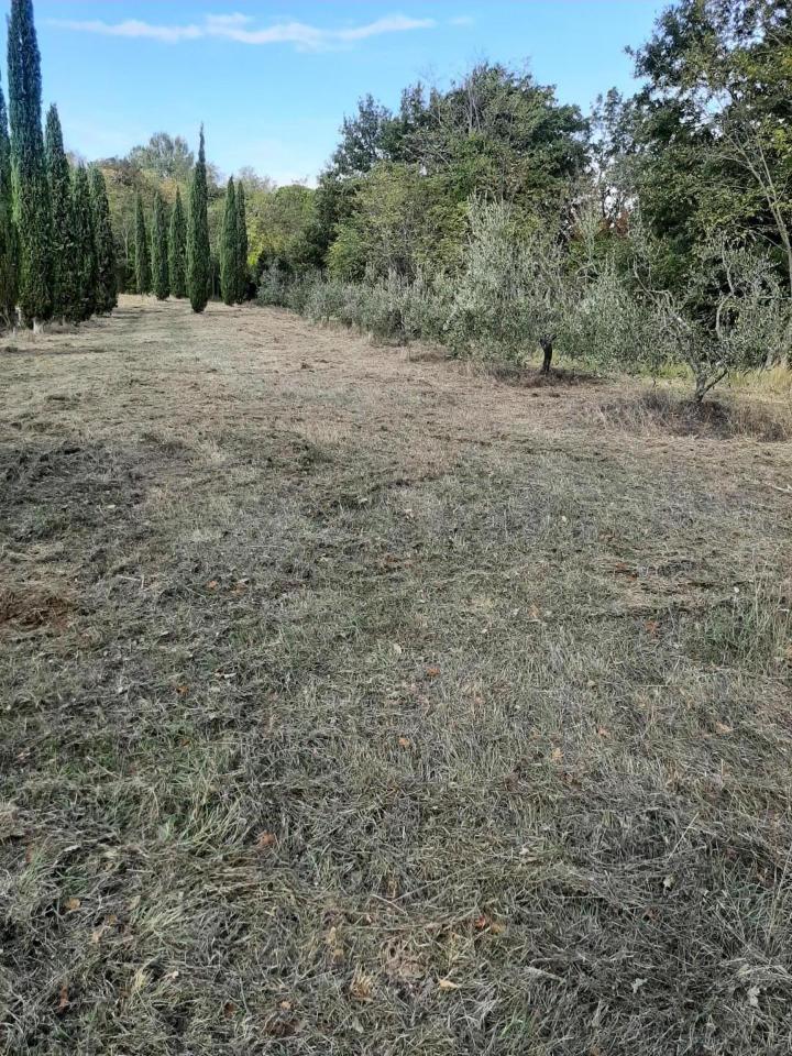 Terreno agricolo in vendita a Casciana Terme Lari