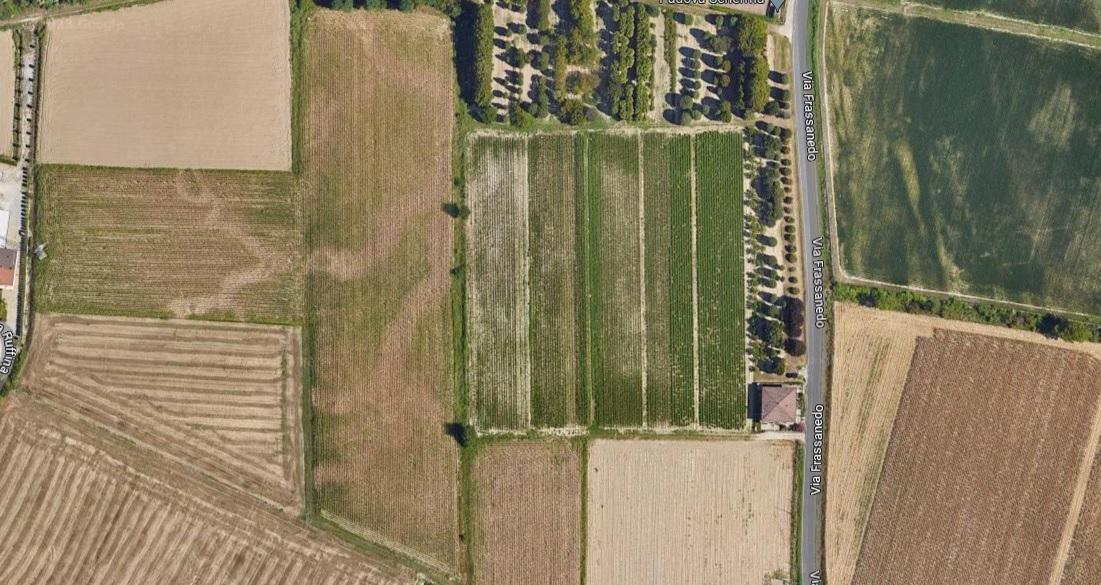 Terreno agricolo in vendita a Saonara