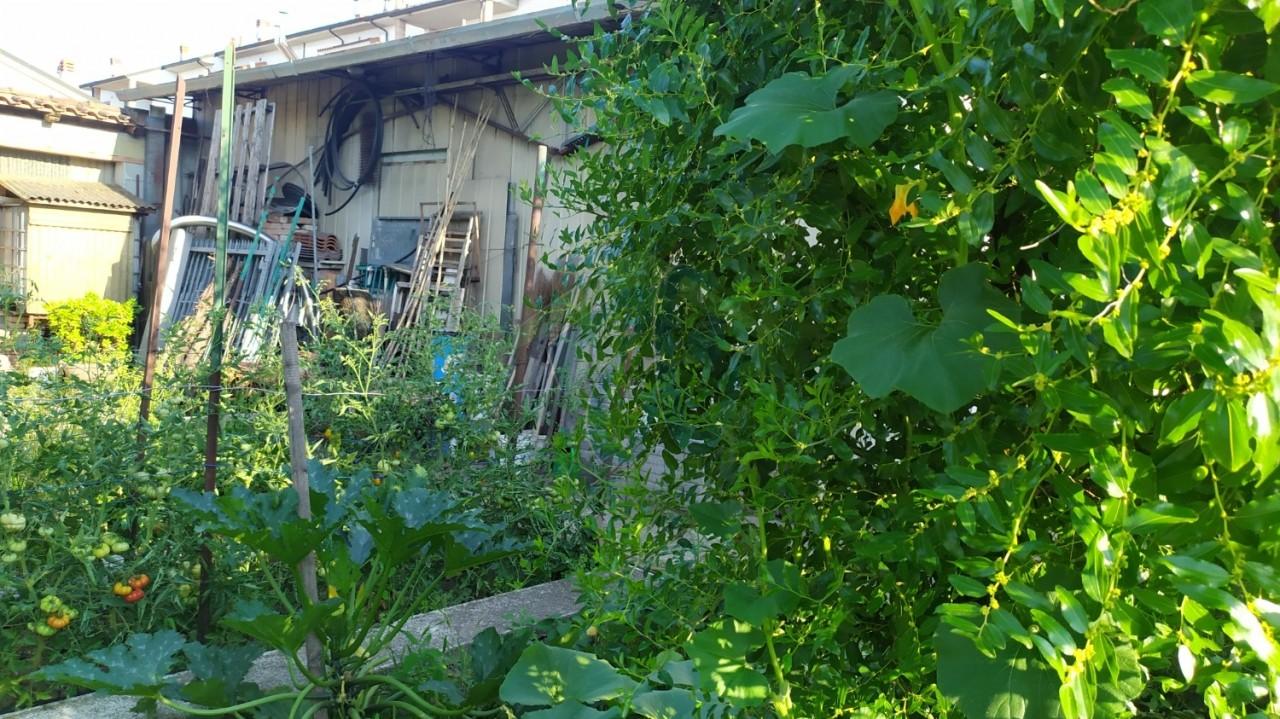 Terreno edificabile in vendita a Rottofreno