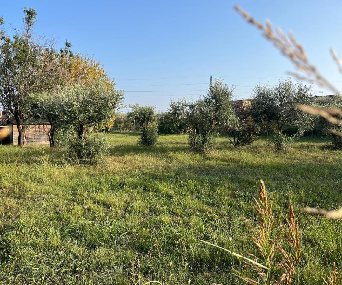 Terreno agricolo in vendita a Massa
