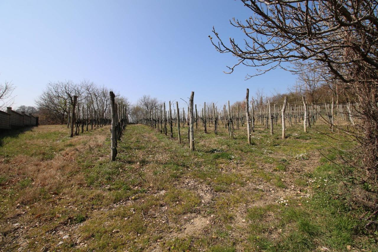 Terreno edificabile in vendita a San Floriano Del Collio