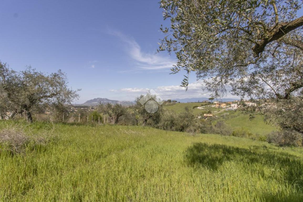 Terreno edificabile in vendita a Morlupo