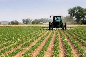 Terreno agricolo in vendita a Monselice