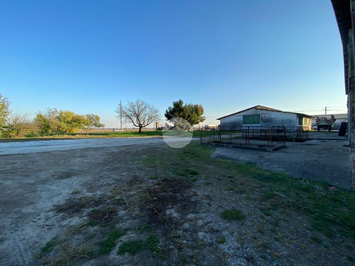 Casa indipendente in vendita a San Giorgio Bigarello