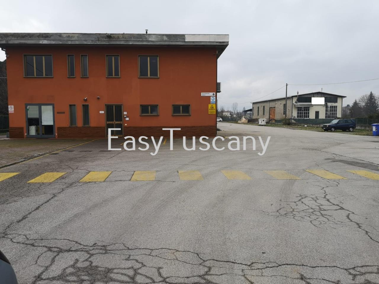 Capannone in vendita a Capannori
