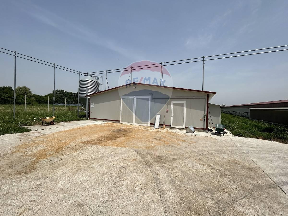 Azienda agricola in vendita a Isola Rizza