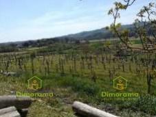 Terreno agricolo in vendita a Civitella In Val Di Chiana