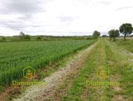 Terreno agricolo in vendita a Civitella In Val Di Chiana