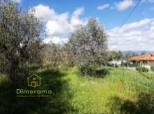 Terreno agricolo in vendita a Civitella In Val Di Chiana