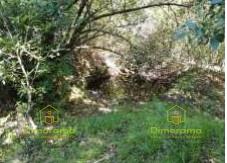 Terreno agricolo in vendita a Civitella In Val Di Chiana