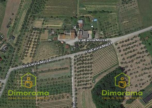 Terreno con rustico in vendita a Monsummano Terme