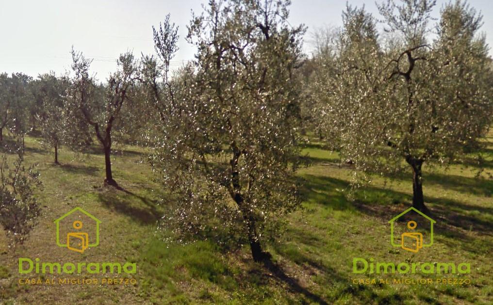Terreno agricolo in vendita a Monsummano Terme