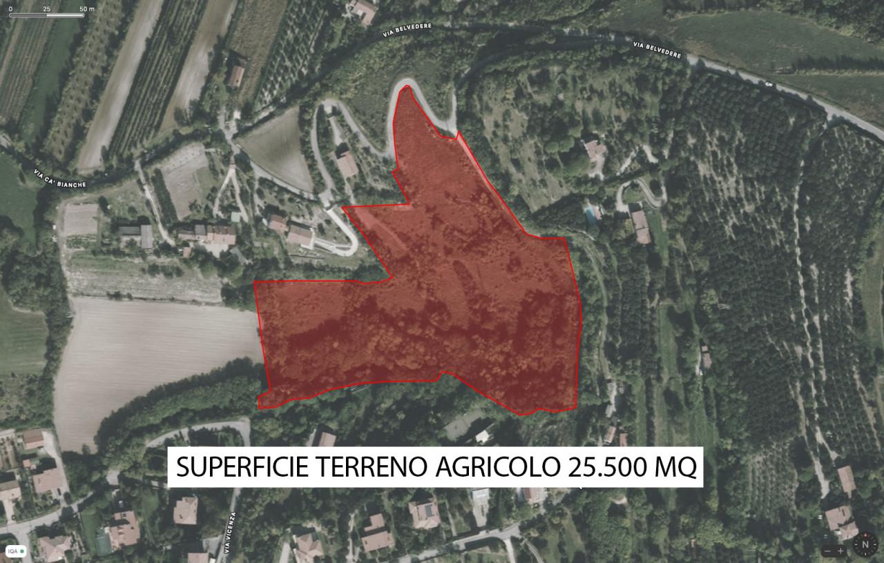 Terreno agricolo in vendita a Baone
