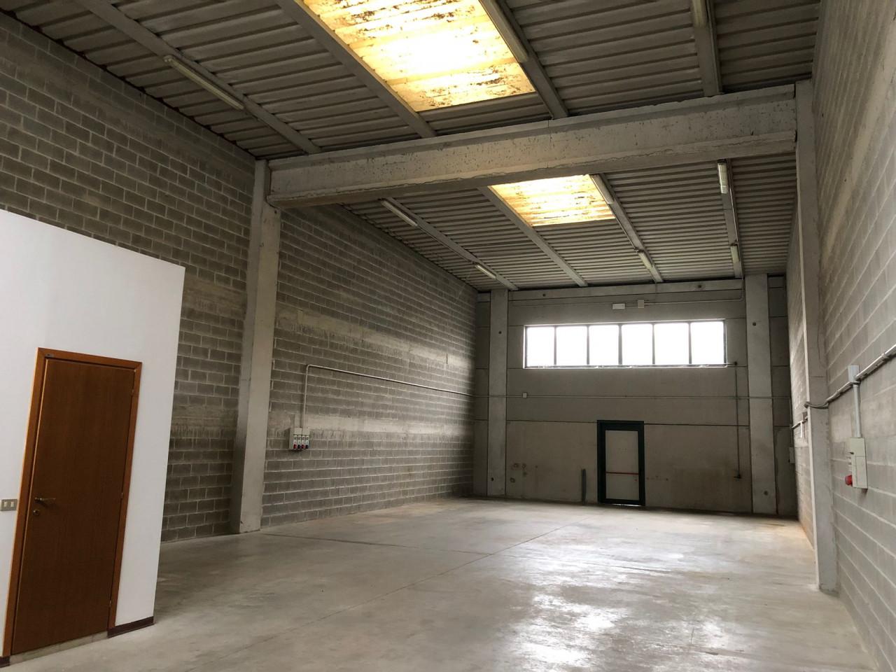 Capannone in affitto a Pernumia